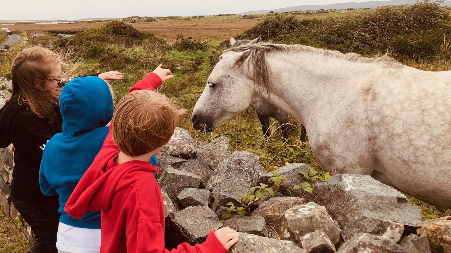 Horse Riding Connemara | Pony Trekking | Connemara Sands Hotel