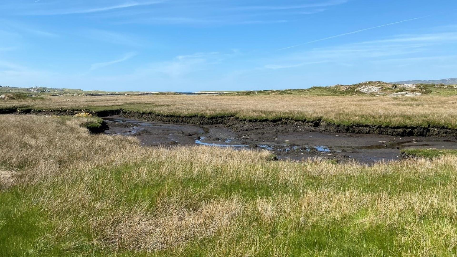 Salt Marsh Connemara | Salt Marsh Birds | Connemara Sands Hotel